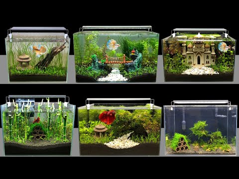 Top 8 DIY Mini Aquarium Decoration Ideas How To Make Aquascape Fish Tank At Home Ideas MR DECOR #186