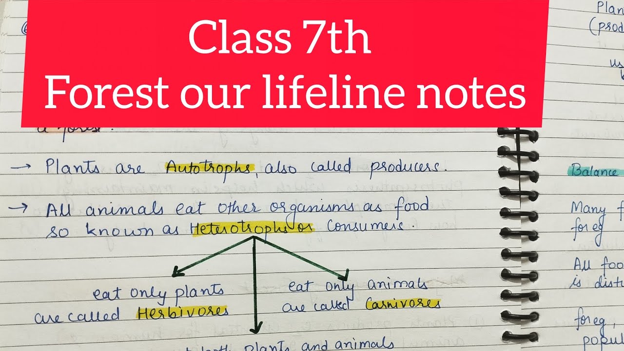 Class 7th science chapter forest our lifeline handwritten notes