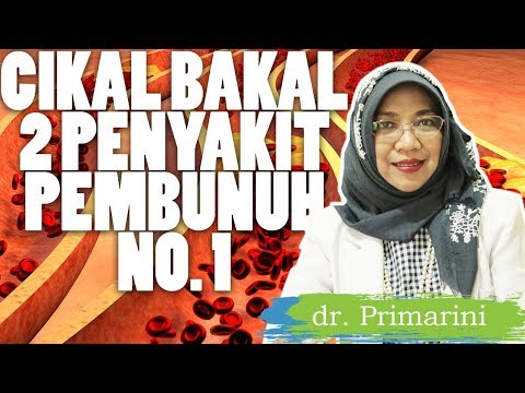 A-Z Kolesterol Tinggi - HDL, LDL, Trigliserida, dan Kolesterol Total
