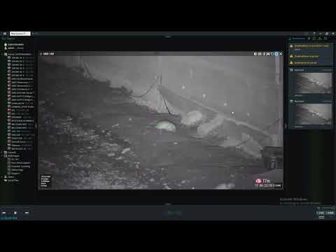 Senturian DataLibrary - Rat & Rodent Detection