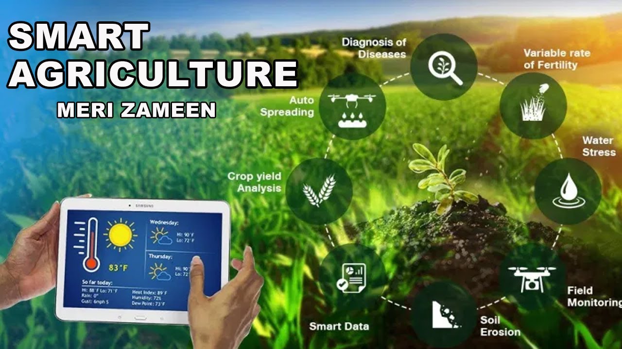 IoT in Agriculture: Five Technology Uses for Smart Farming and Challenges to Consider || Meri Zameen
