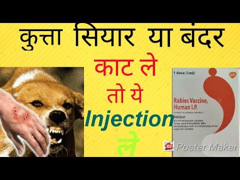 Rabipur Injection - Latest Price, Dealers & Retailers in India