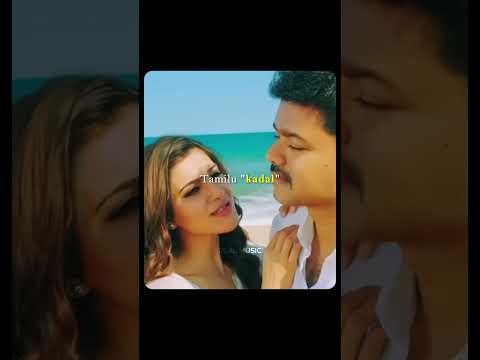 Love In Different Languages Song ???? - Nodivalandava Song ❤️ #love #viralvideo #trending #shorts