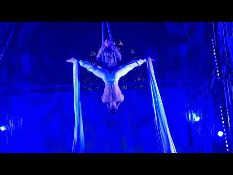 Festival of Wonder