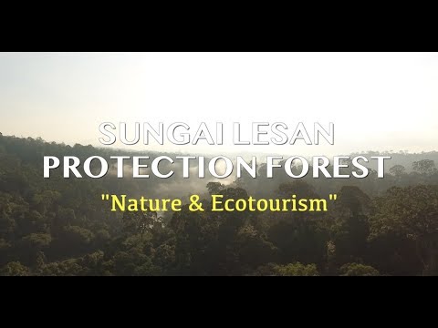 Desa Wisata Lesan Dayak