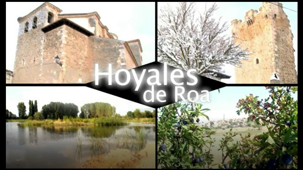 Hoyales de Roa DVD