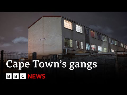 Caught in the crossfire: The victims of Cape Town's gang warfare | BBC News
