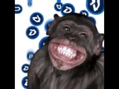 monkey gif 😘