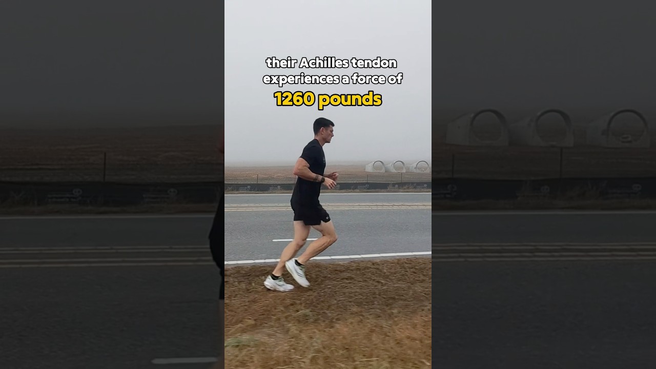 Did You Know This About Your Achilles?