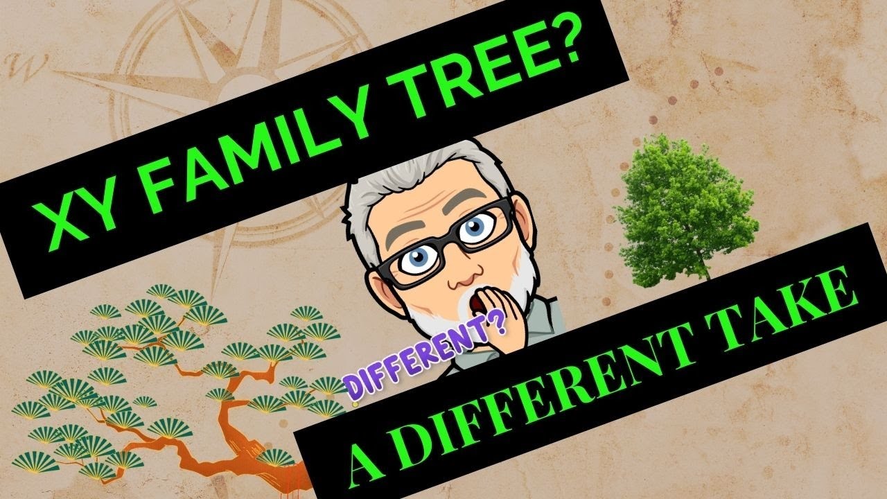 XY Family Tree - a Different Take on Tree Building