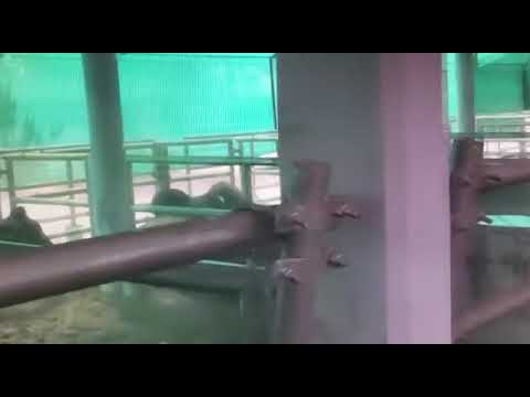 Misting Systems - Mist Cooling System Latest Price, Manufacturers ...