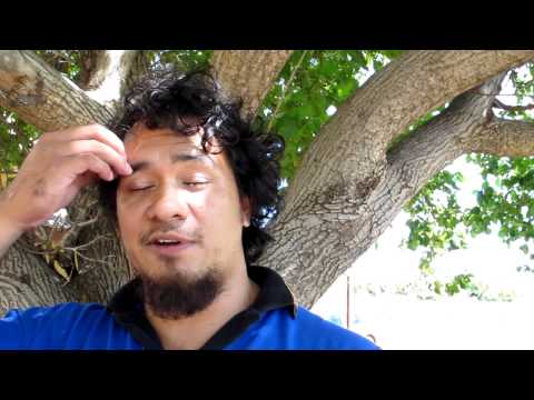 Ubby's Underdogs : The Legend of the Phoenix Dragon , Ubby's Underdogs ...