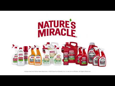 Solutions for the Toughest Pet Messes | Nature's Miracle