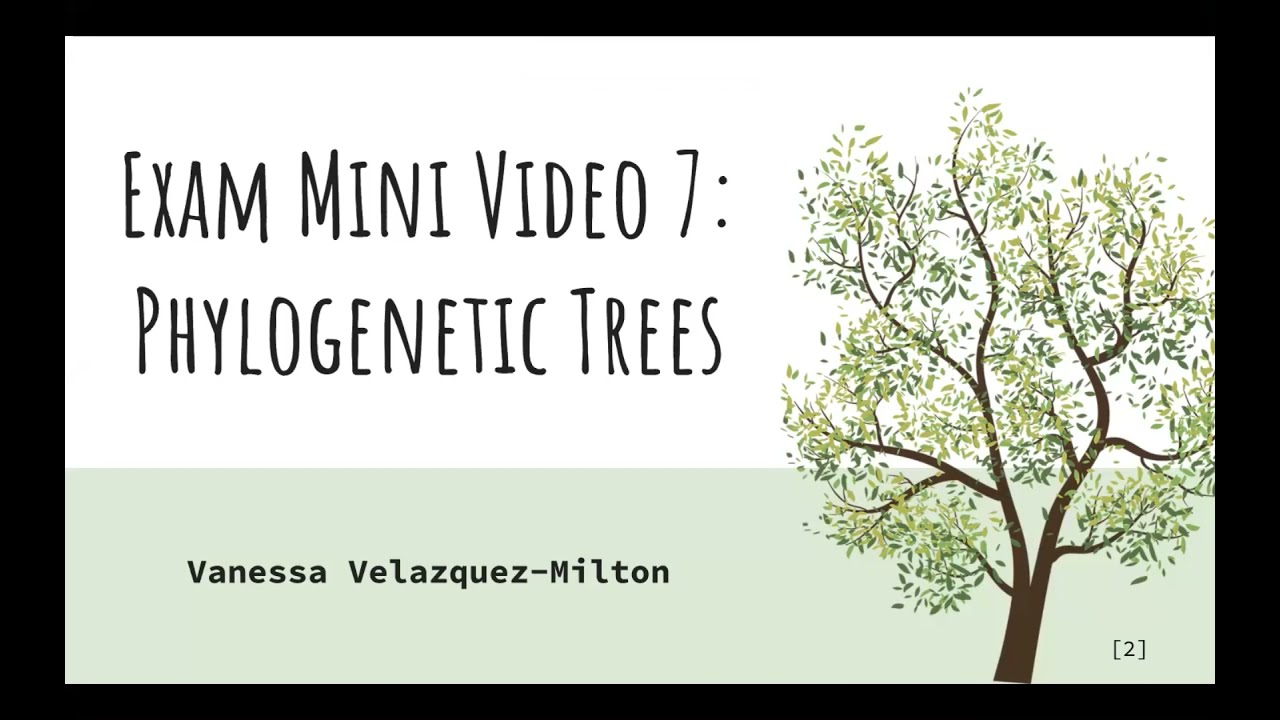 Exam Mini Video 7: Phylogenetic Trees