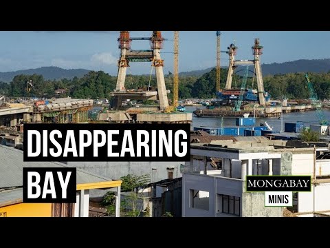 This Indonesian bay is being filled with soil