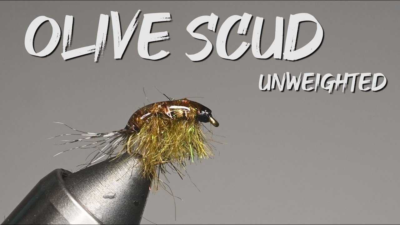 Olive Scud Fly Pattern Unweighted tied by Svenddiesel