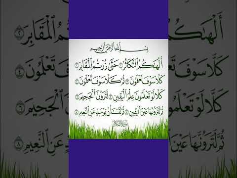 Surah Takasur #shorts #quran #surahtakasur