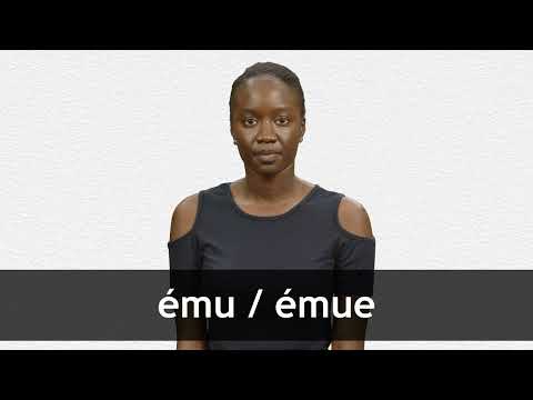 English Translation of “ÉMU” | Collins French-English Dictionary