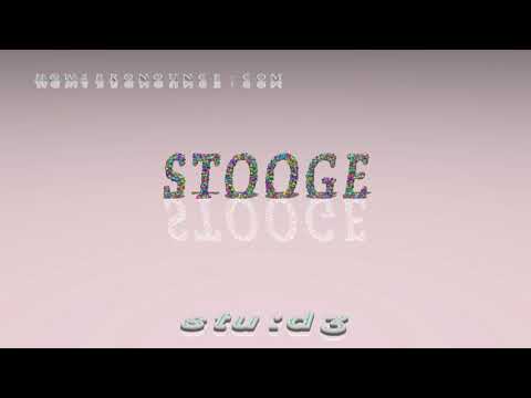 stooge - pronunciation + Examples in sentences and phrases