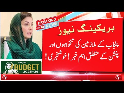 Punjab Govt Big Decision on Employees Pensions, Salaries & DRA Allowance 2025