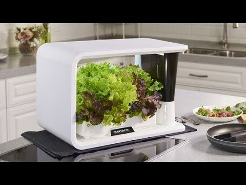 aspara™: The Smart Indoor Garden | Tech StartUp