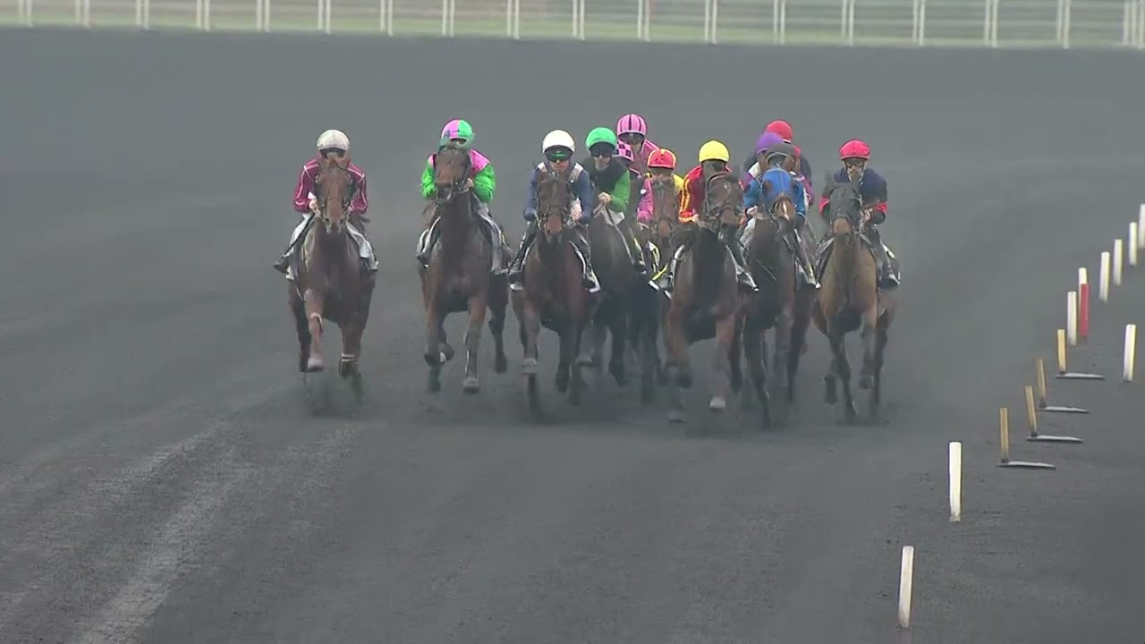 PRIX DE VINCENNES 2025