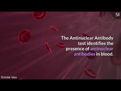 What is Antinuclear Antibody (ANA) test?