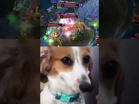 loving the new katarina builds