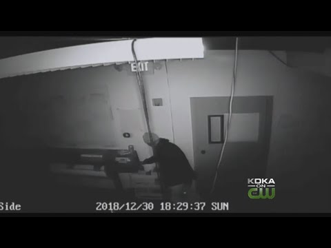 Website Design Company Creates Special Site To Catch Thief