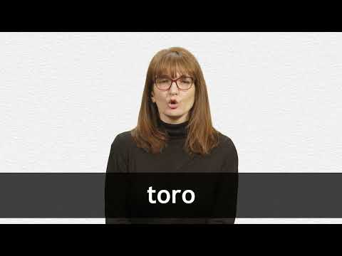 English Translation of “TORO” | Collins Spanish-English Dictionary