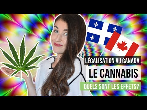 Cannabis: c'est quoi les effets? Connaître la loi au Canada & Québec! | TOUT SAVOIR SUR CETTE DROGUE