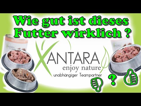Natürliches Nassfutter - Wie gut ist es wirklich? 🤔 / Hundefuttertest Natur-Nassfutter