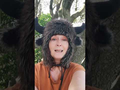 Poetry for whole family. Moon Faced Witch. Fantasy rhyming poem in ebook and audiobook Amazon.