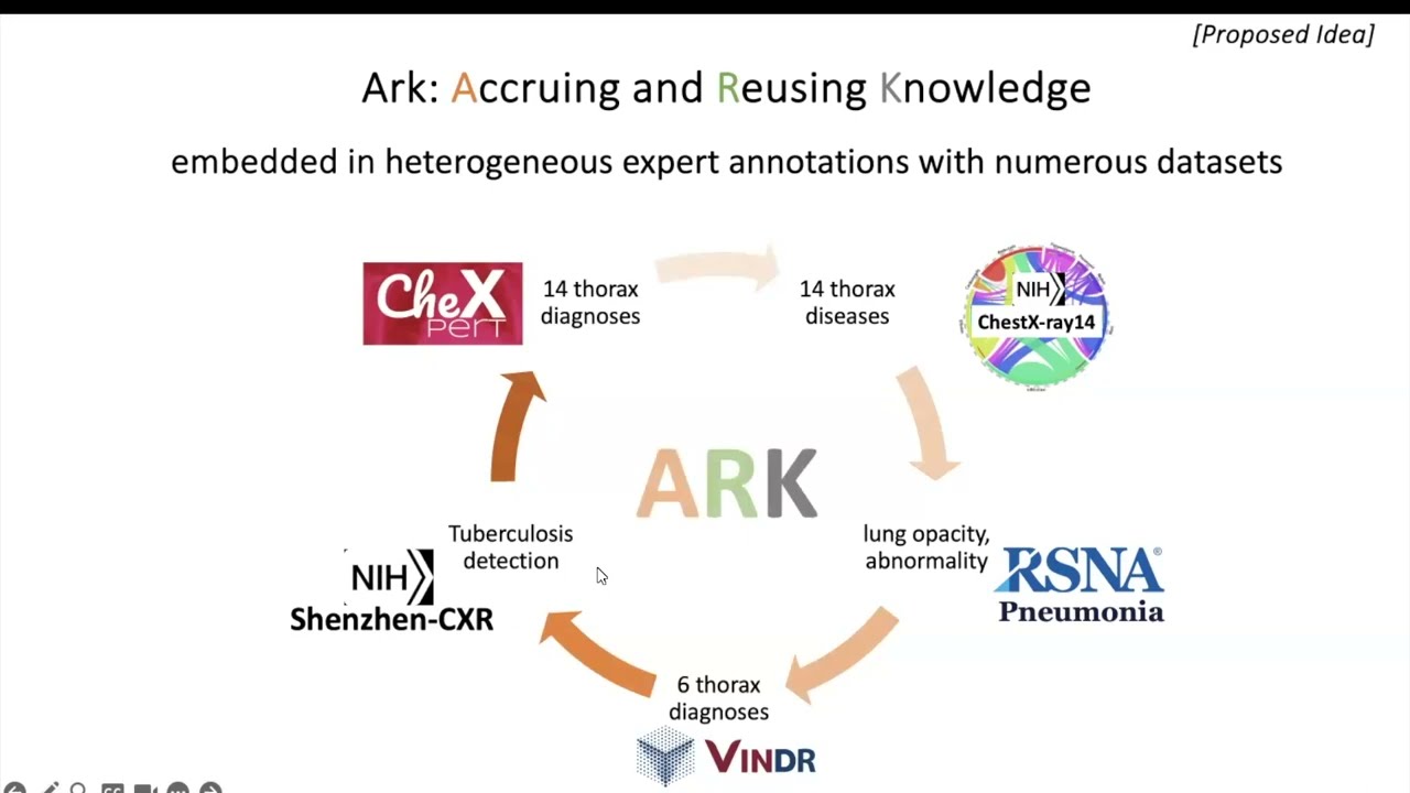 Foundation Ark in MICCAI2023