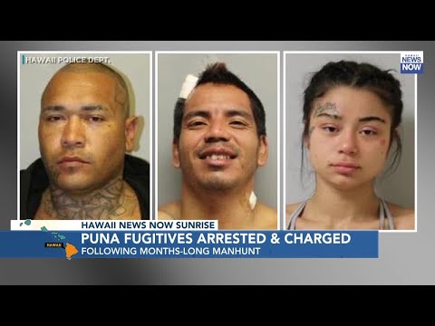 HNN News Brief (Dec. 10, 2024)