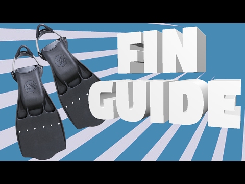 Fin Guide