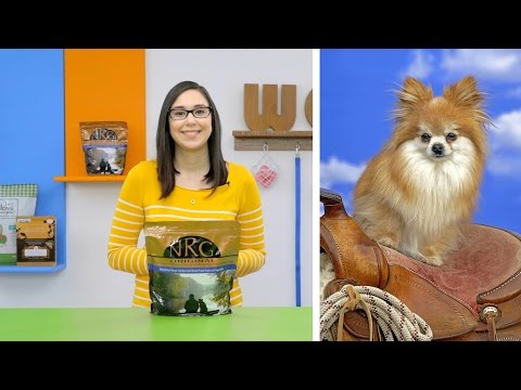 4 Dehydrated Foods For Your Dog | Chewy