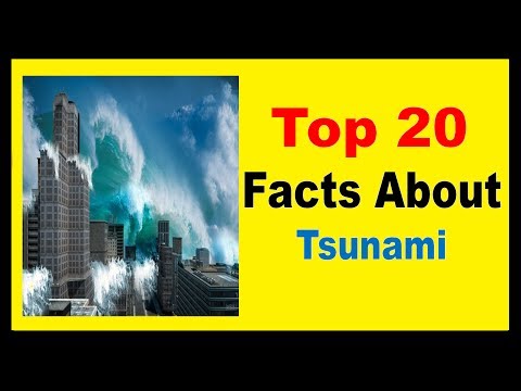 Tsunami - Facts