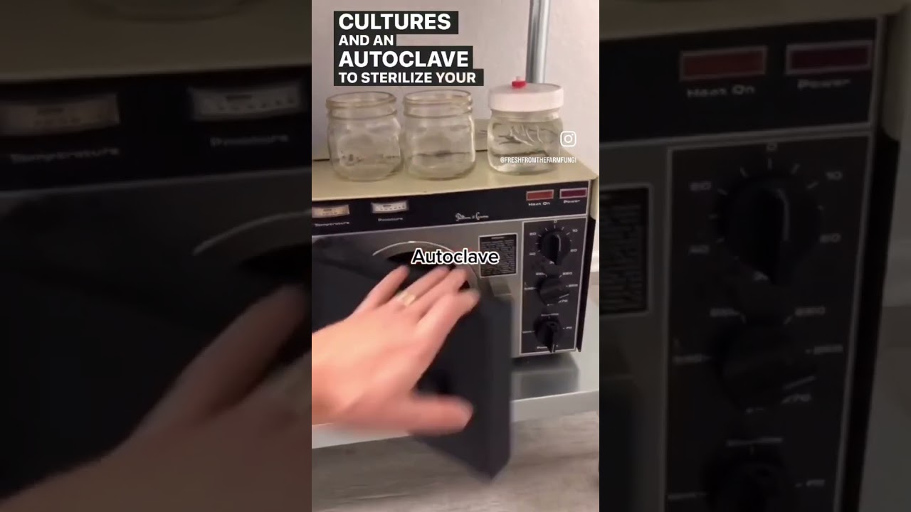 This is the most basic mycology lab setup I would recommend to any new farm #mushroomfarm #mycology