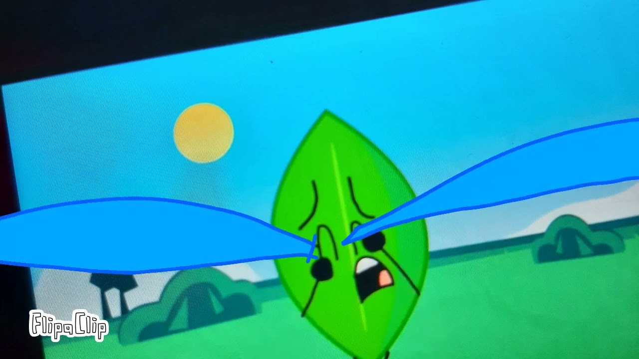 leafy crying//bfb//