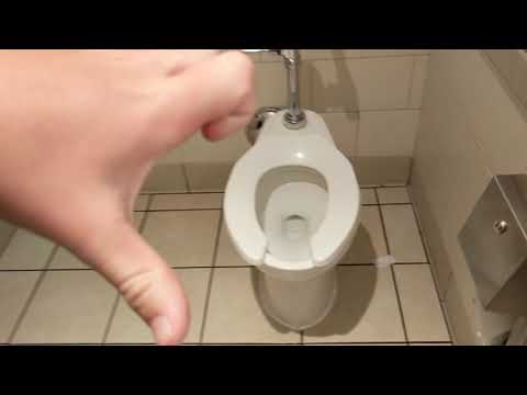 2016 American Standard Madera Toilet.