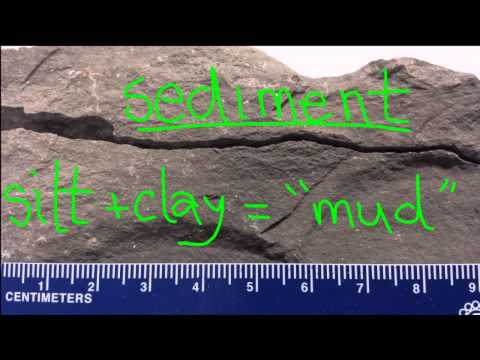 SR2d-How to Observe, Identify, and Name Common Fine-grained Sedimentary Rock