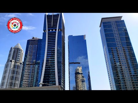 Jumeirah Lake Tower view | JLT Dubai | Evening at Jumeirah Lake Tower | #shorts | #shortsvideo