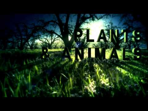 What is a Thetan? | Real Scientology Beliefs