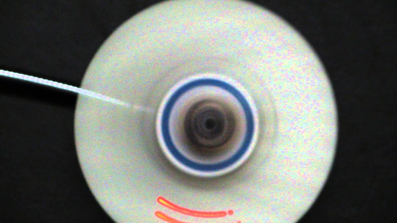 Spinning Bat Detector - first test