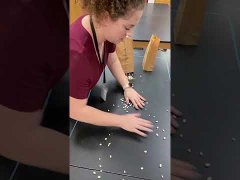 Population Field Studies Lab: Quadrat Sampling