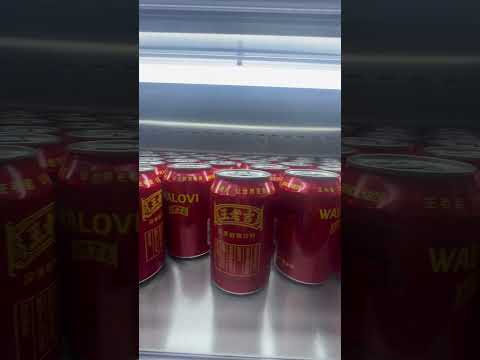 All food and drink at the Chinese buffet #allfood #foodshorts #chinesebuffet #buffet #drink #fypp