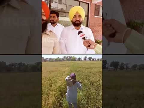 Punjab में AAP की क्रांति 🔥🔥 #aamaadmipartypunjab #aappunjab #bhagwantmann