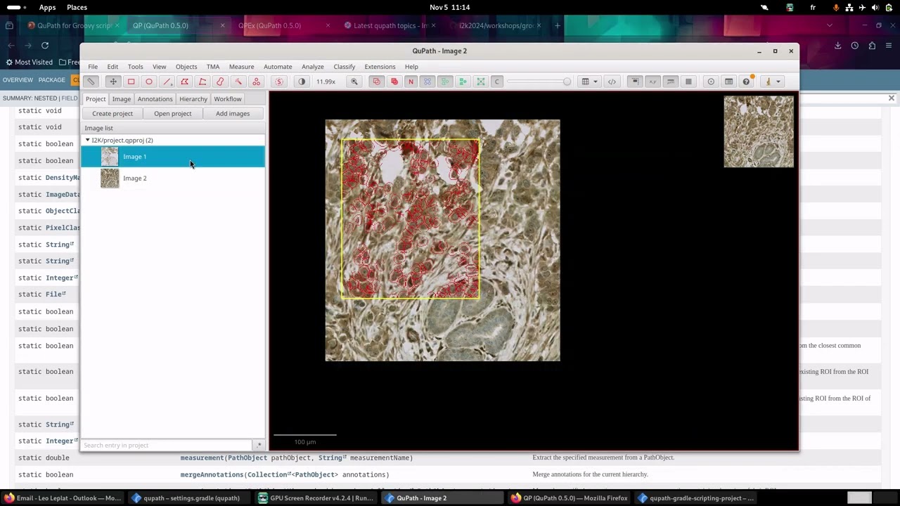 QuPath for Groovy Scripters