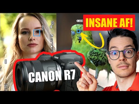 Canon EOS R7 + R10: Real world autofocus check (5137C002)